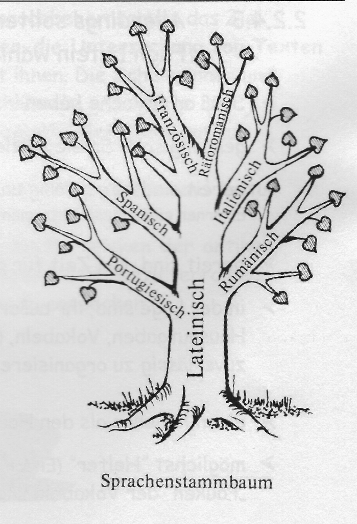 Latein - Gesamtschule Hattingen